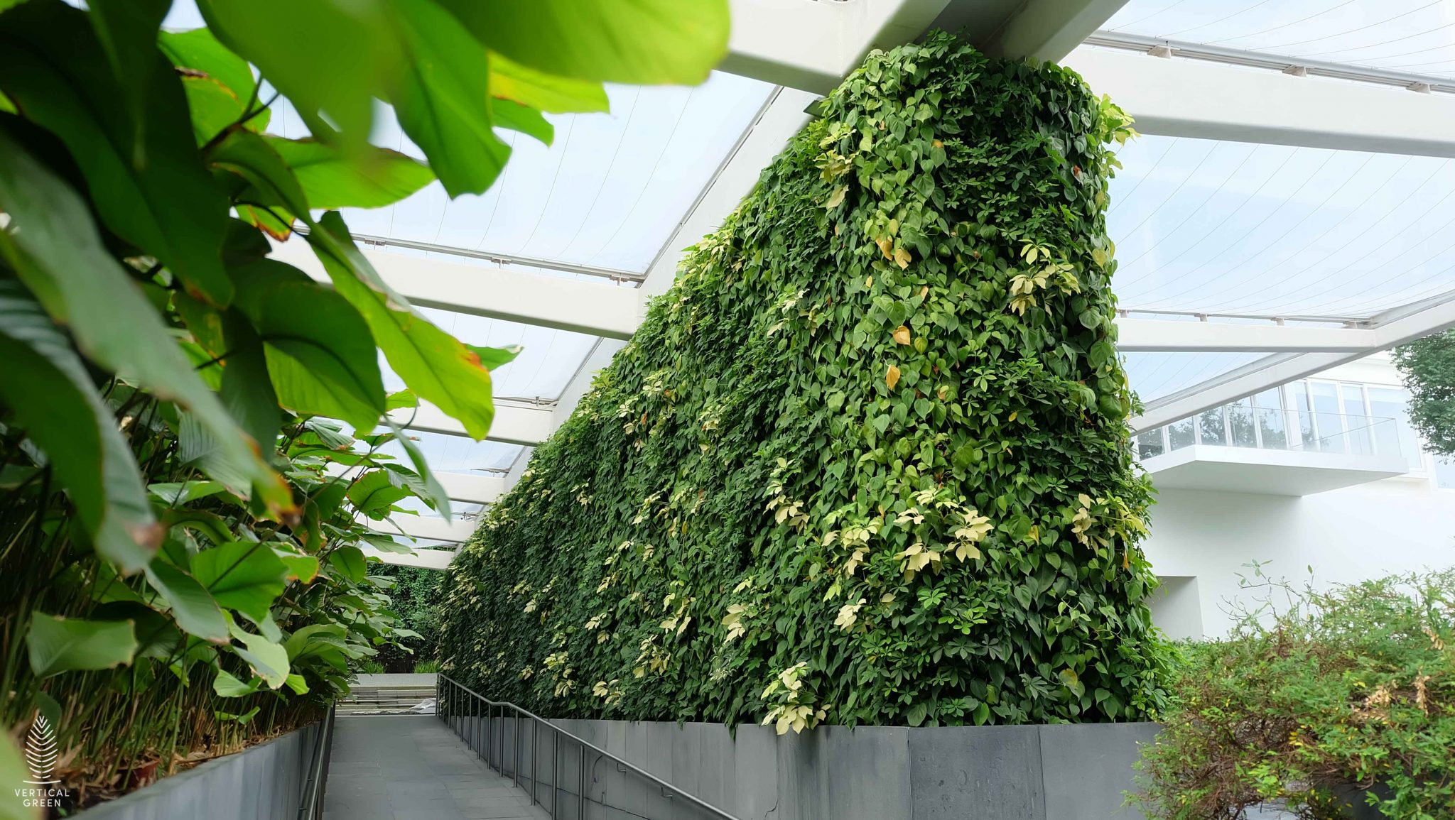 Green Walls And How It Benefits Focus And Creativity