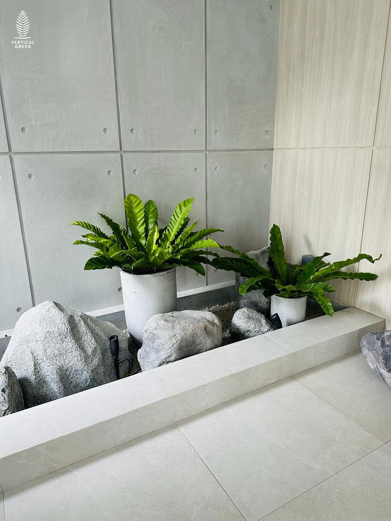 Jalan Antoi - Vertical Green Pte Ltd