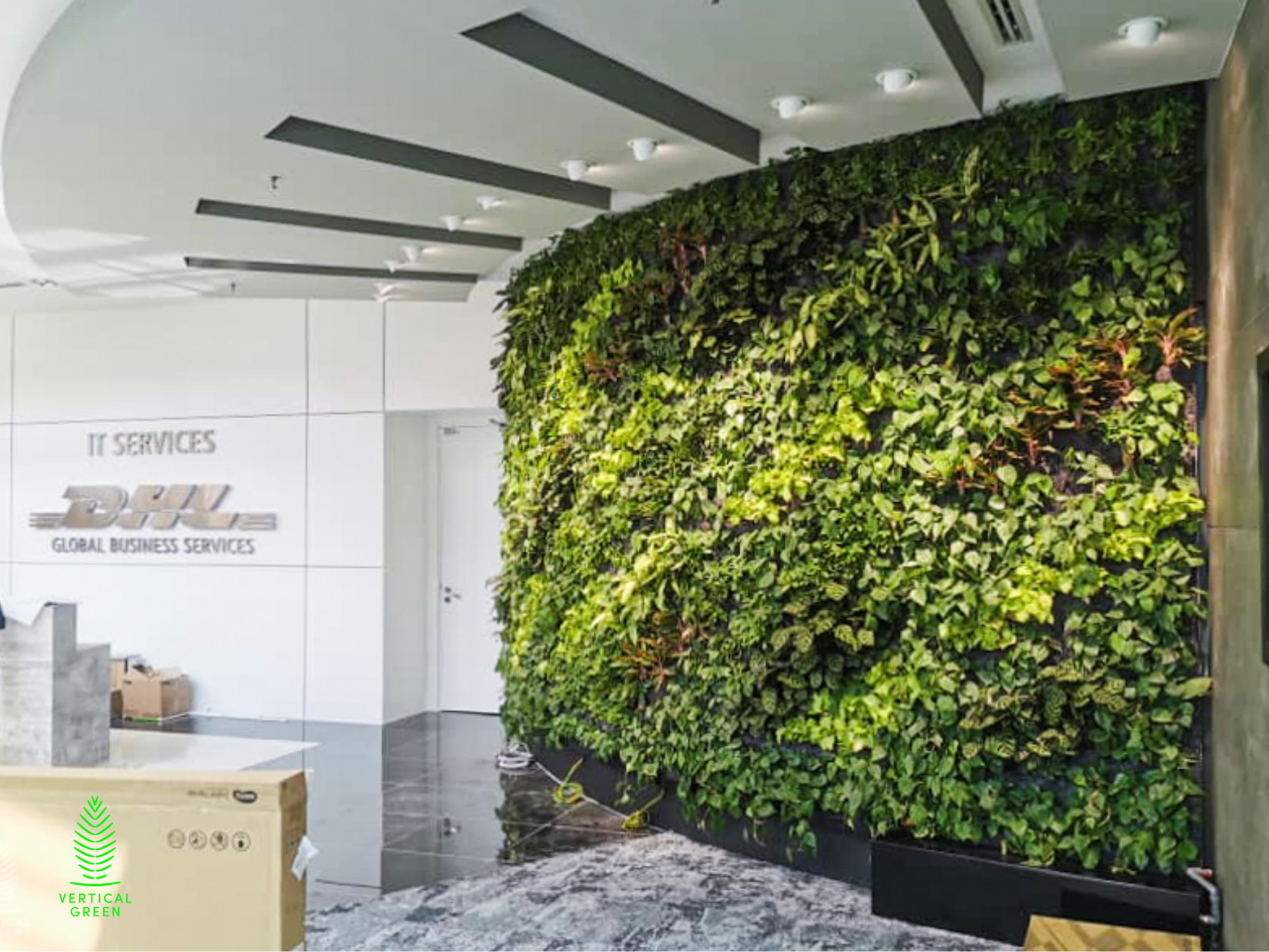 DHL - Vertical Green Pte Ltd