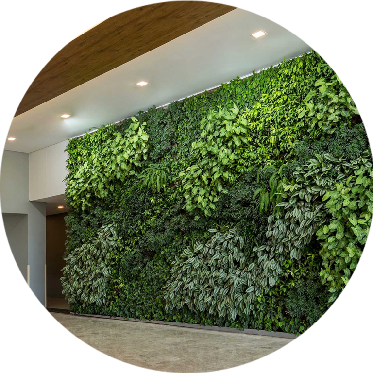 GD Export - Vertical Green Pte Ltd
